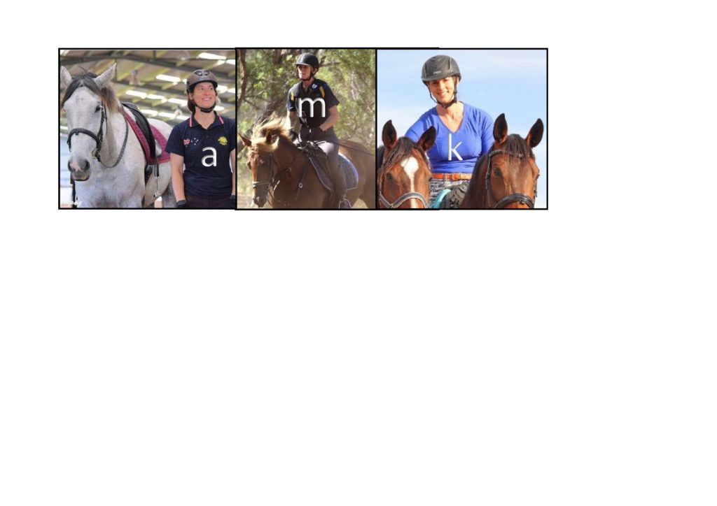 3x3 crop letters - Yara Balba Stables